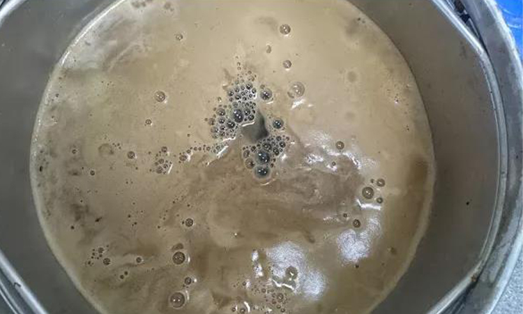 What is the function of boiling wort?