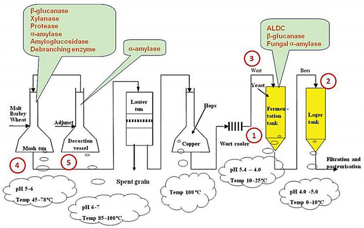 How to control the pH value of beer?