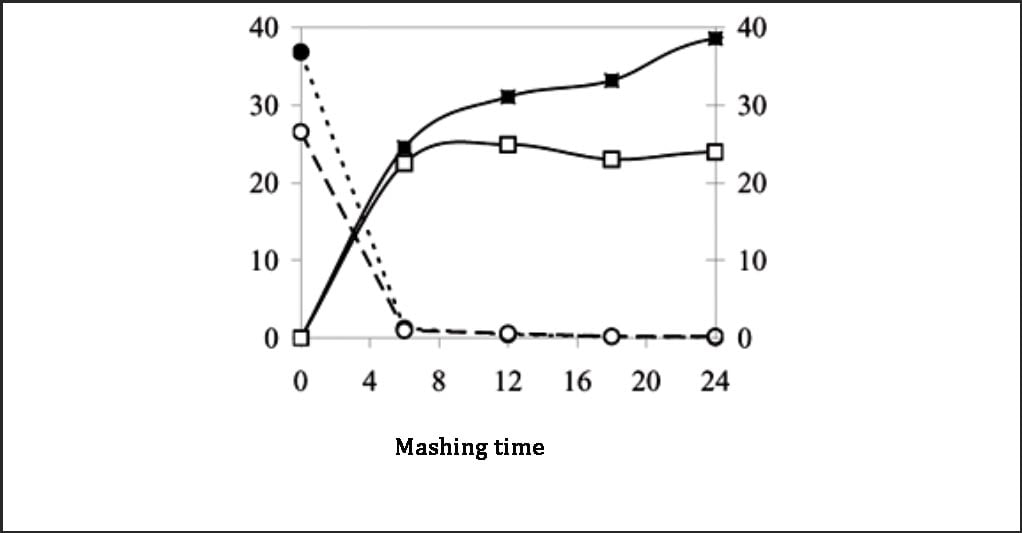 Let's talk about the relationship between beer mashing process and enzymes.