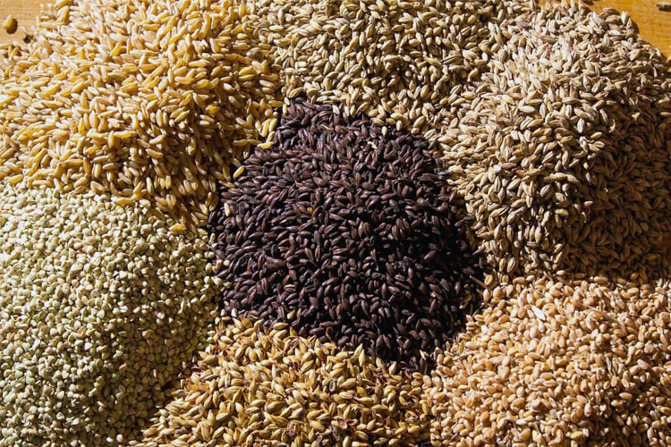 How to Identify the malt in beer brewing process?