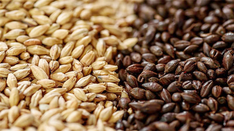 Recommended amount of common malt produced by craft beer equipment
