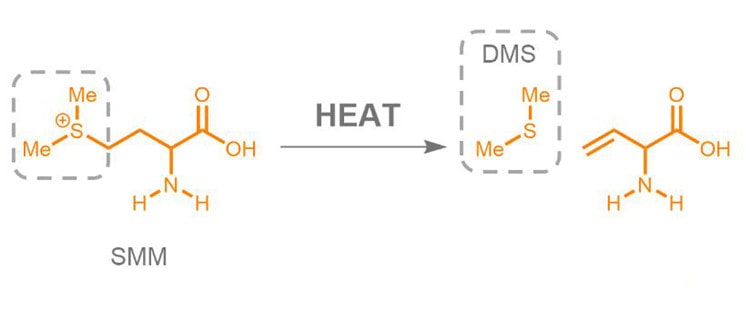 The dimethyl sulfur （DMS）in beer is discussed