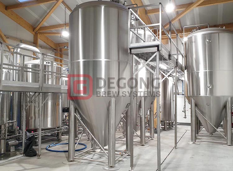 Top Fermentation vs. Bottom Fermentation