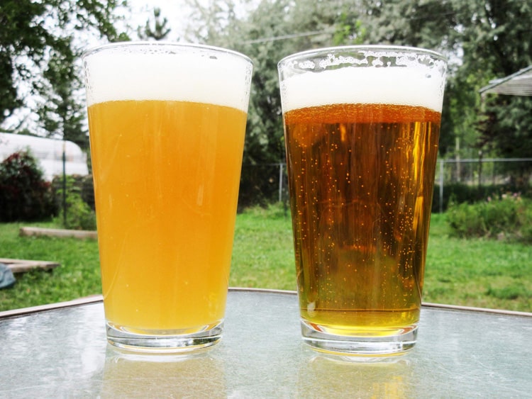 Why are some beers very clear, some are very turbid, and some are green?